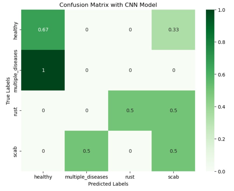 GitHub - hanaBEDDA/Apple-leaf-diseases-detection: This project focuses on leveraging the power ...
