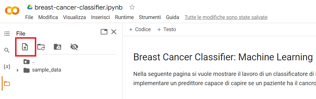 GitHub - alessiapontiggia/LABIAGI-project: Breast Cancer Classifier and Detection
