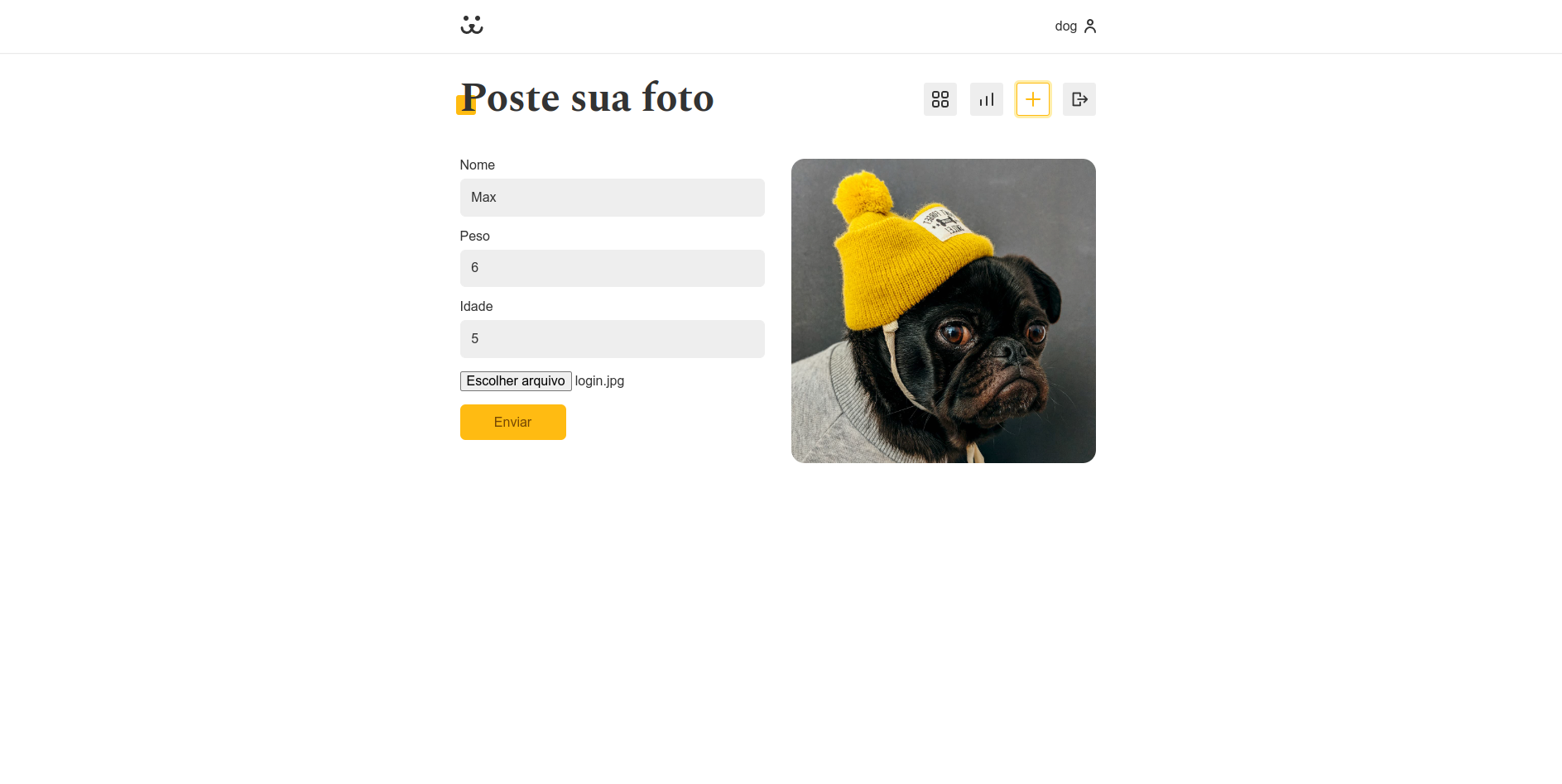 GitHub - matheusfelipetp/dogs