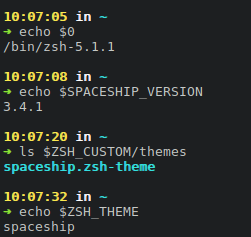 zsh: spaceship_exec_time_precmd_hook: function definition file not ...
