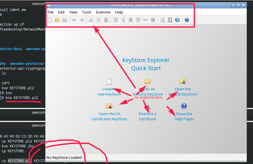 KSE not responding when opening p12 keystore · Issue #421 · kaikramer/keystore-explorer · GitHub