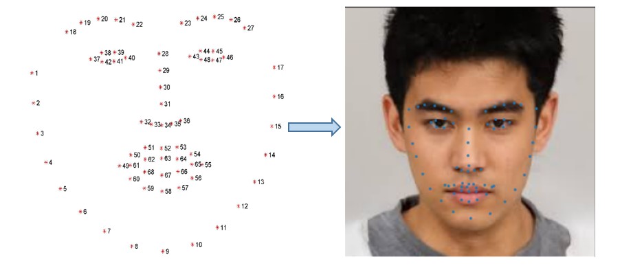 GitHub - LeHoangHoa0941/68-POINT-FACIAL-LANDMARK-DETECTION-BASED-ON ...