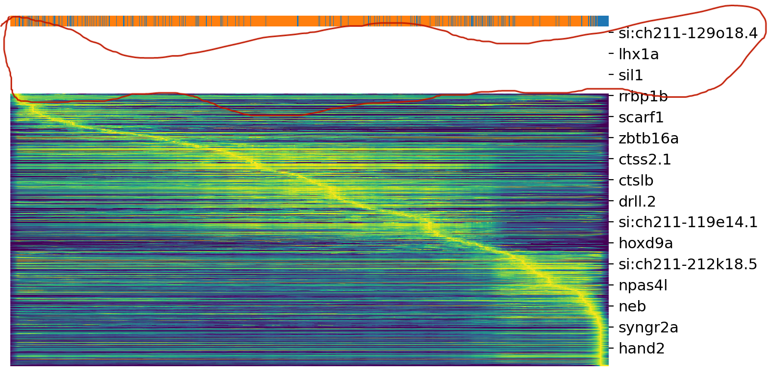 using scv.pl.heatmap, have a gap in the gene expression value of each row · Issue #920 ...