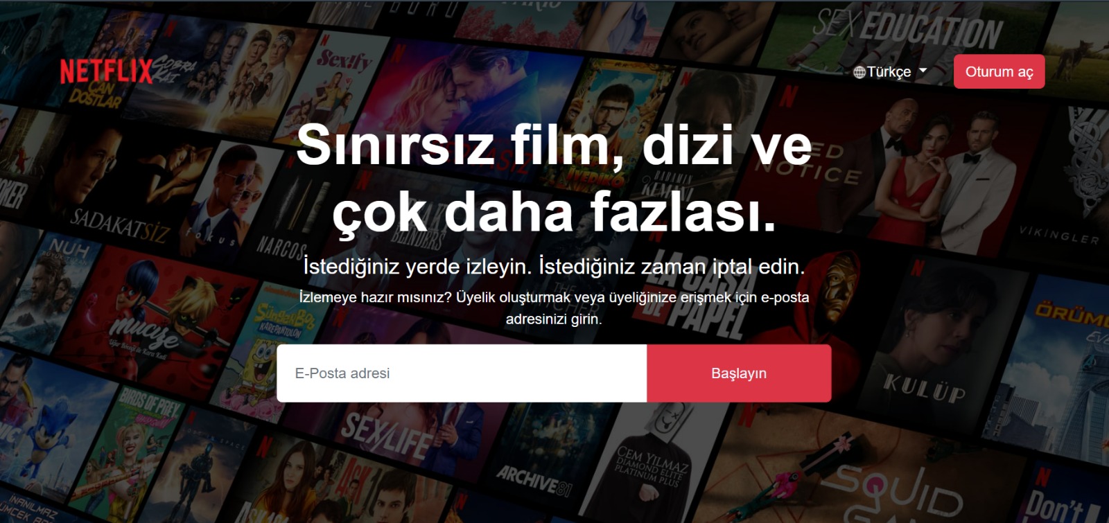 GitHub - iremsener/Netflix-frontend