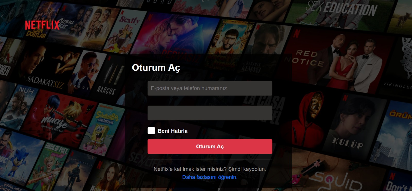 GitHub - iremsener/Netflix-frontend