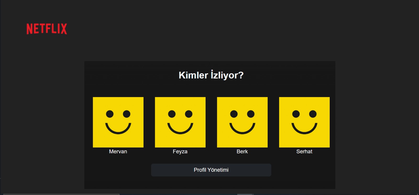 Github Iremsenernetflix Frontend