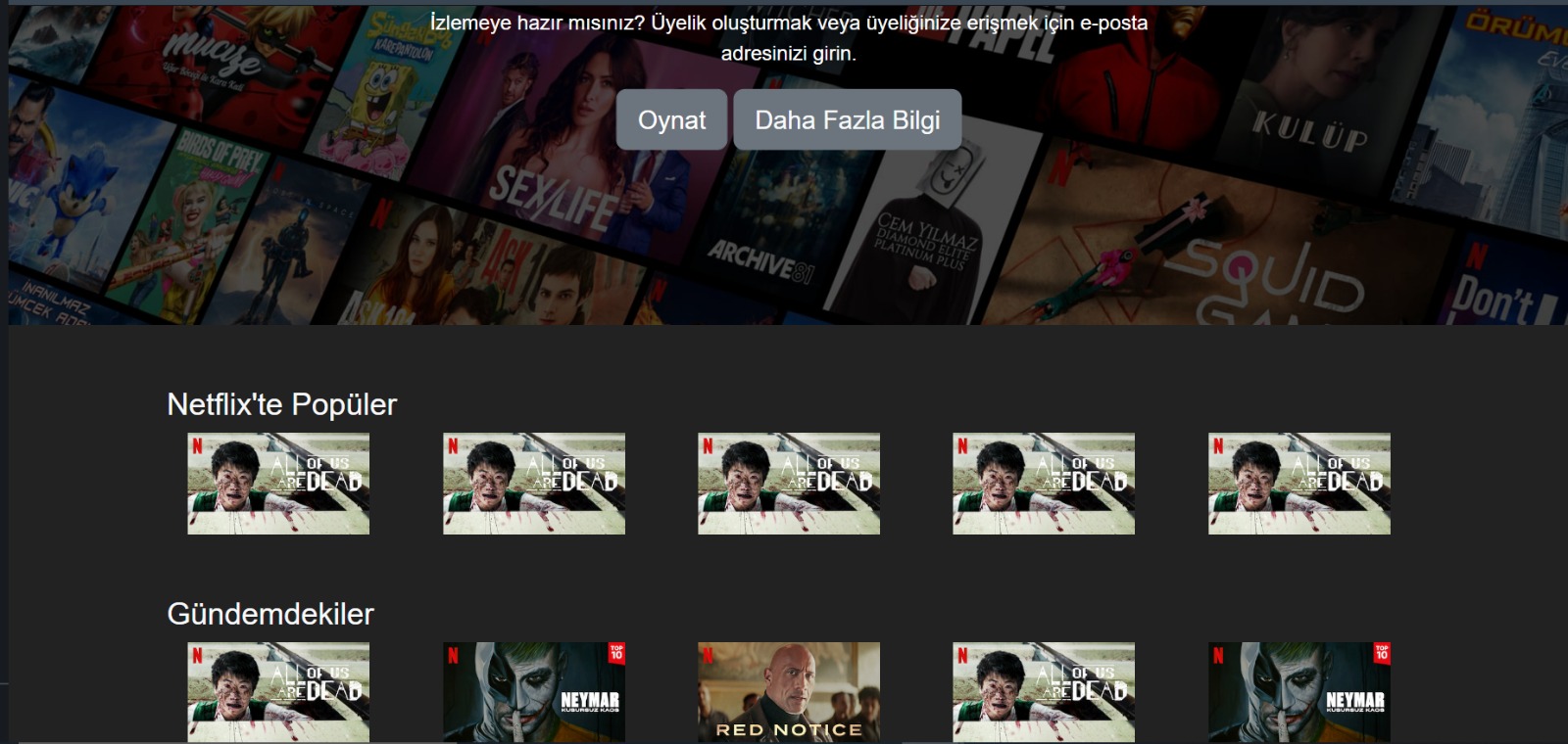 GitHub - iremsener/Netflix-frontend