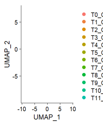 Error dysplaying single-cell plots using DimPlot, FeaturePlot - raster argument mandatory ...