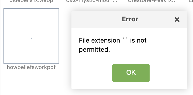 MODX 3.0.0 Media Browser Upload strips the . from the file name · Issue #16144 · modxcms ...