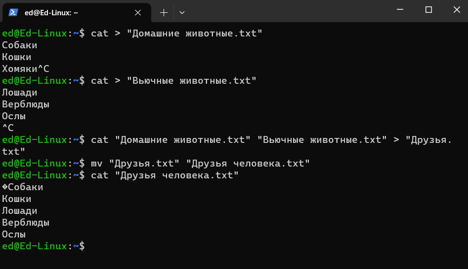 GitHub - EdGolf/Final-project