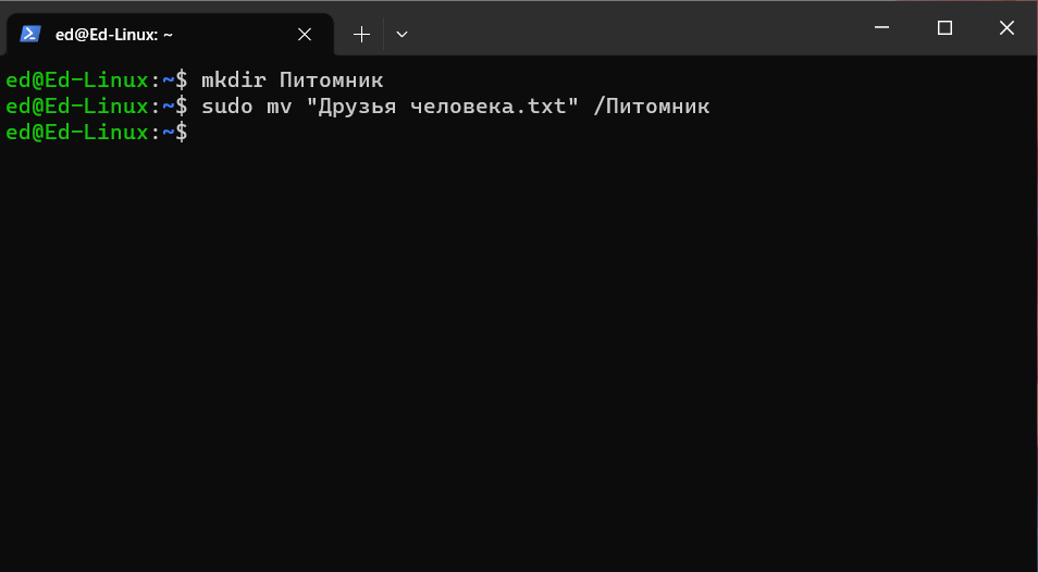 GitHub - EdGolf/Final-project