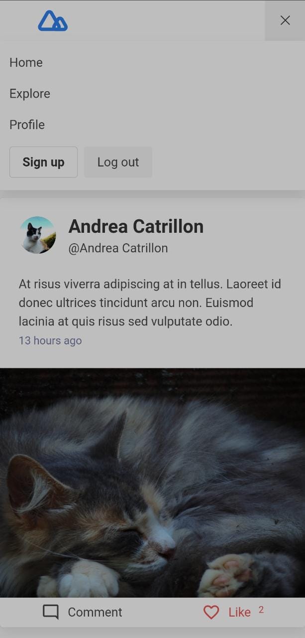 GitHub - camilojimenezj/social-media: Social media full stack MEVN