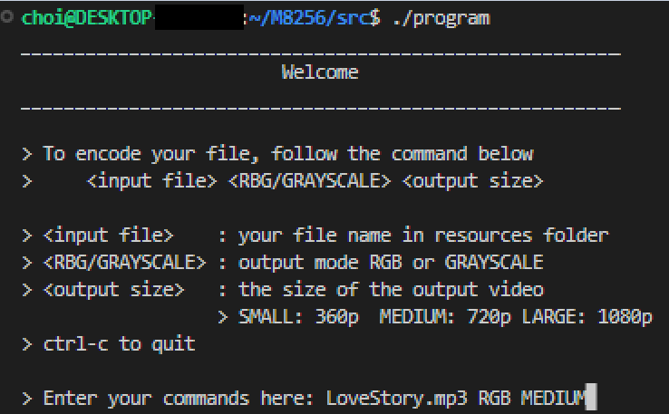 GitHub - Duc-V/Binary-Video-File-Converter