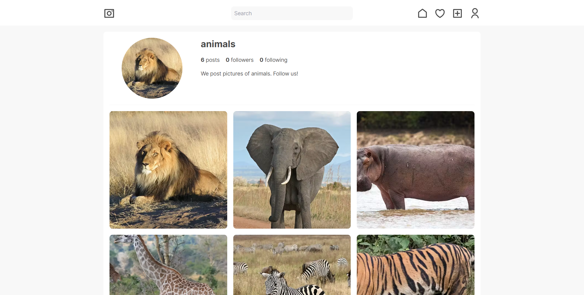 GitHub - zielvna/photogram: A photo-based social media app. 📷