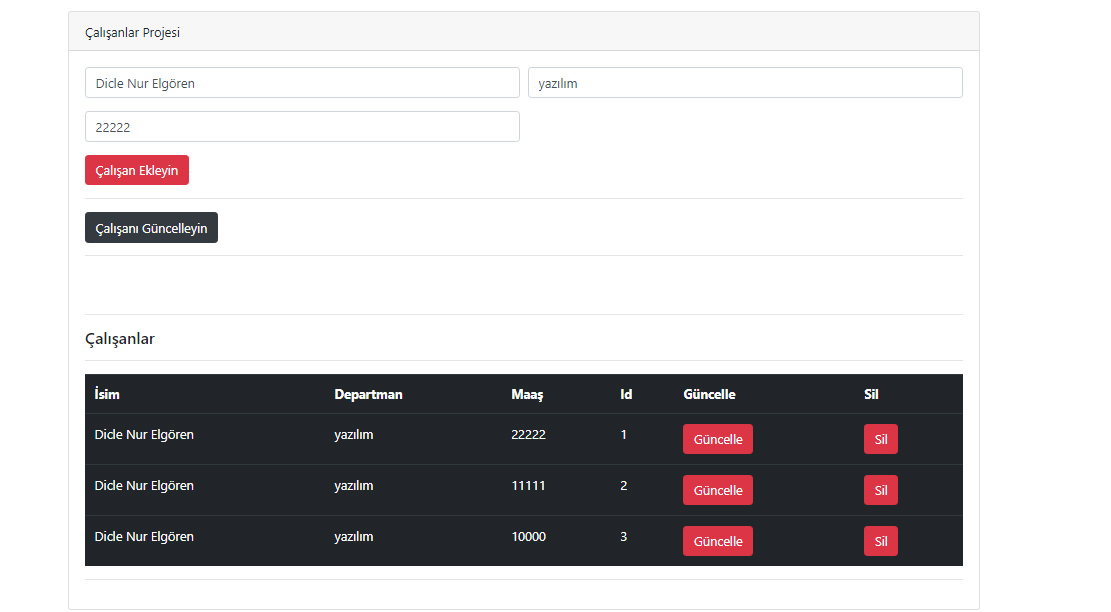 Github Diclenurelgoren Employees Project