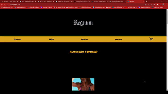 GitHub - miguelbauducco/proyecto-react