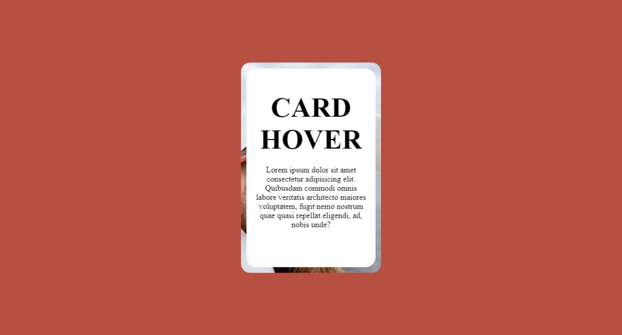 GitHub - Nexwaydev/Card-Hover-Effect