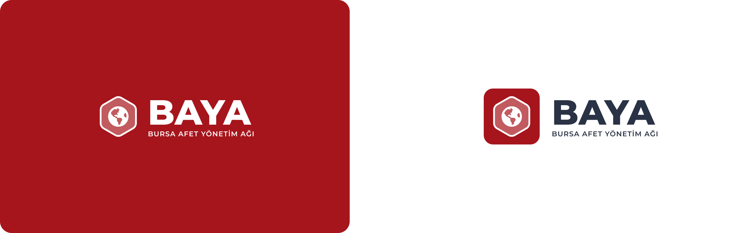 GitHub - sekiilkay/BAYA