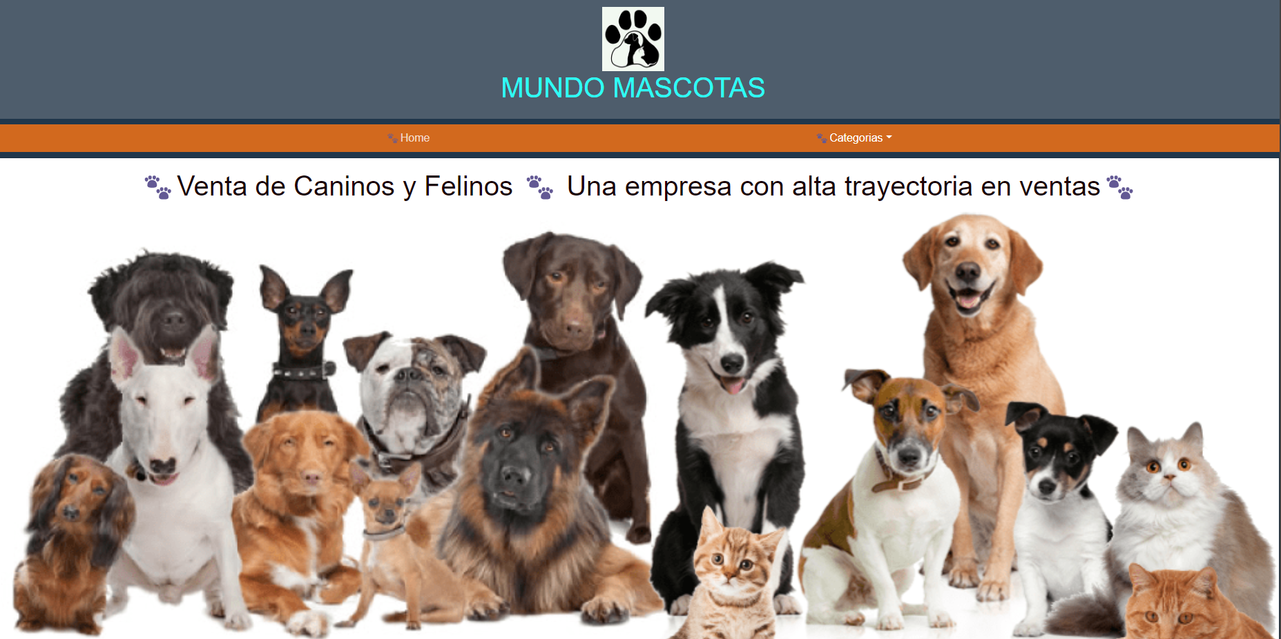 img · Issue #2 · claupros/ProyectoFinal-React-js-Claudio-Contardi · GitHub