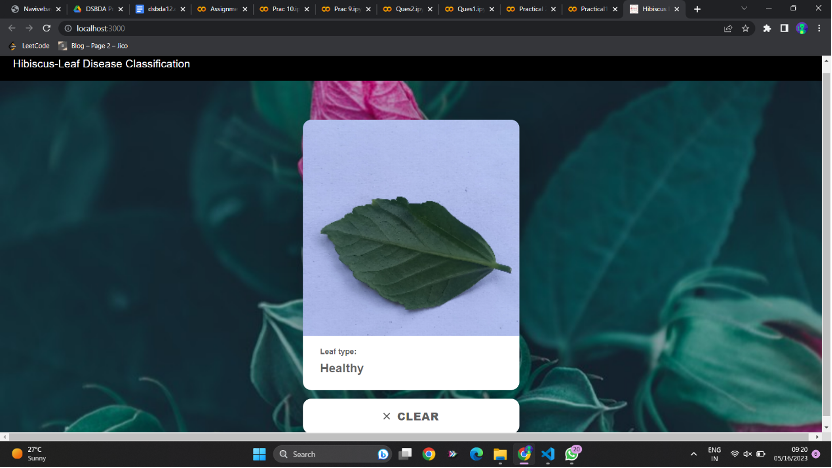GitHub - prathameshb19/Hibiscus-Disease-Classification