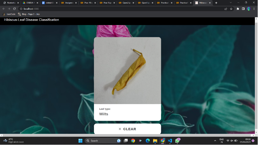 GitHub - prathameshb19/Hibiscus-Disease-Classification