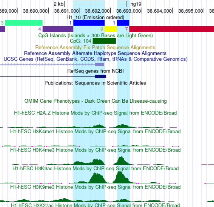 GitHub - Katmalu/hse_hw3_chromhmm