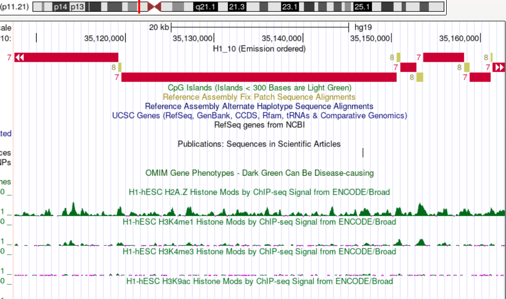 GitHub - Katmalu/hse_hw3_chromhmm