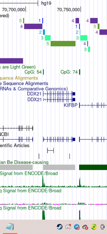 GitHub - Katmalu/hse_hw3_chromhmm