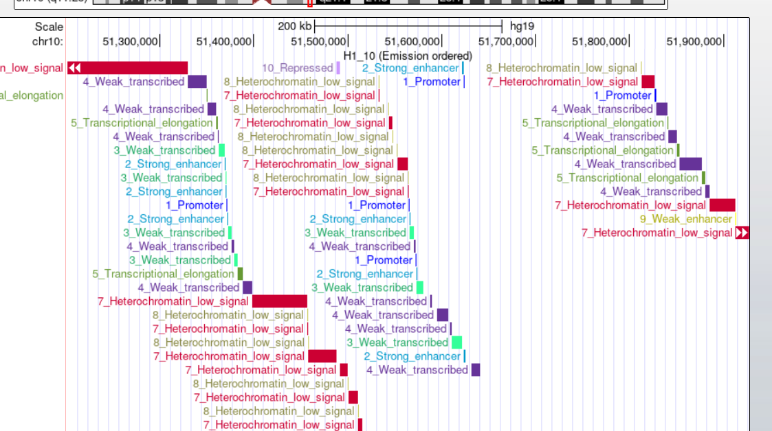 GitHub - Katmalu/hse_hw3_chromhmm