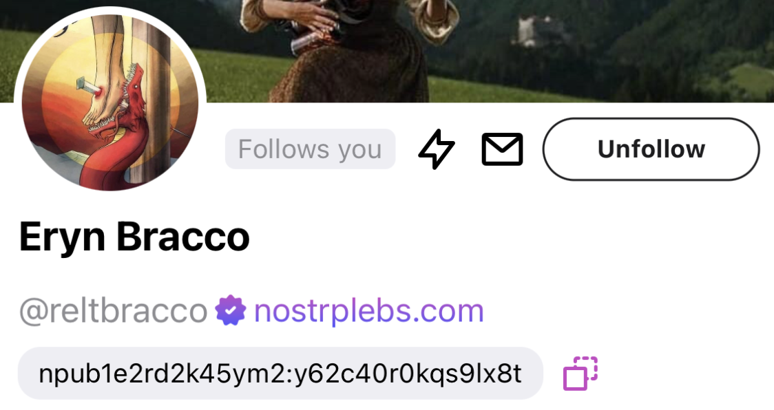 Fix user profile display for long names and NIP-05 domains · Issue #1527 · damus-io/damus · GitHub