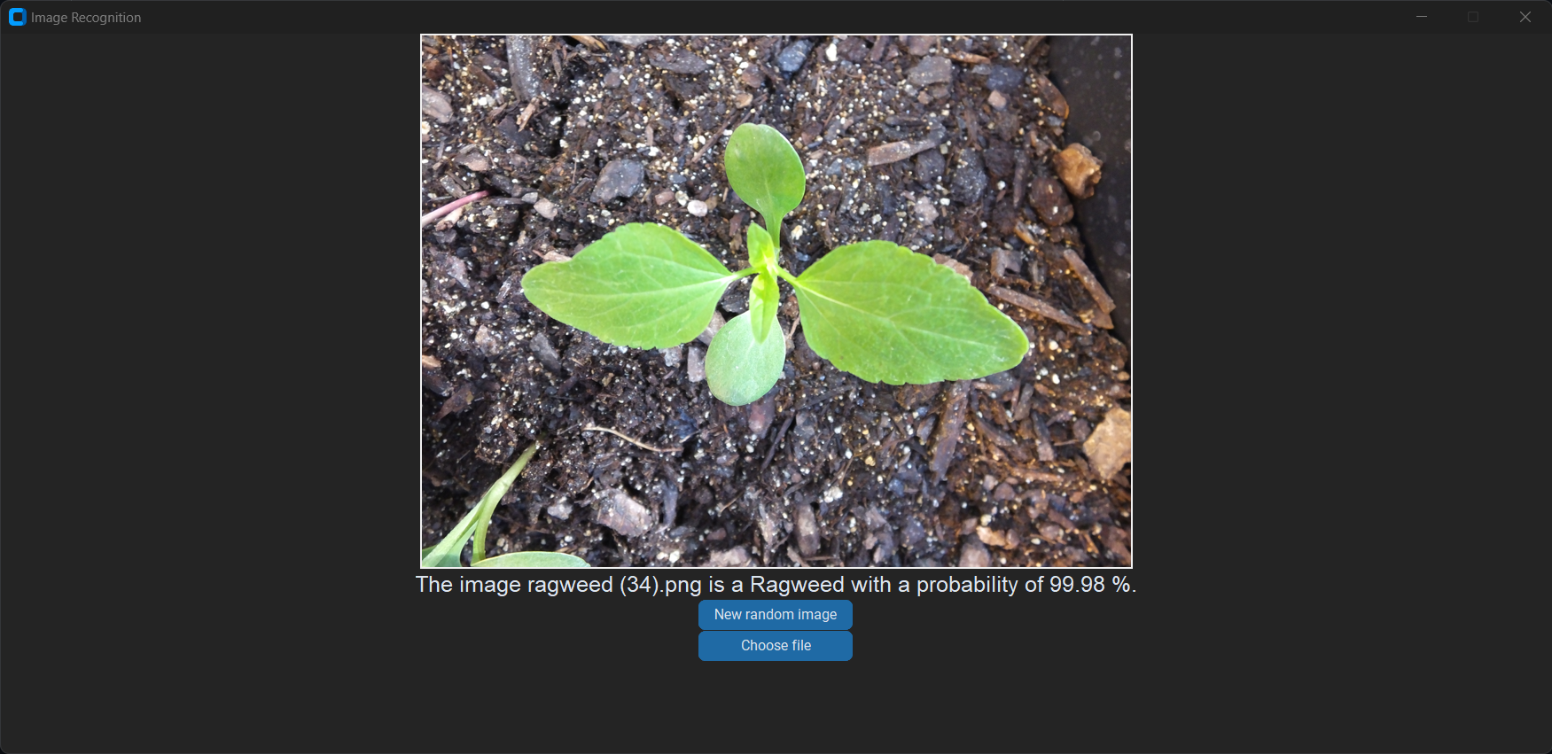 GitHub - HugoC28/ImageRecognition