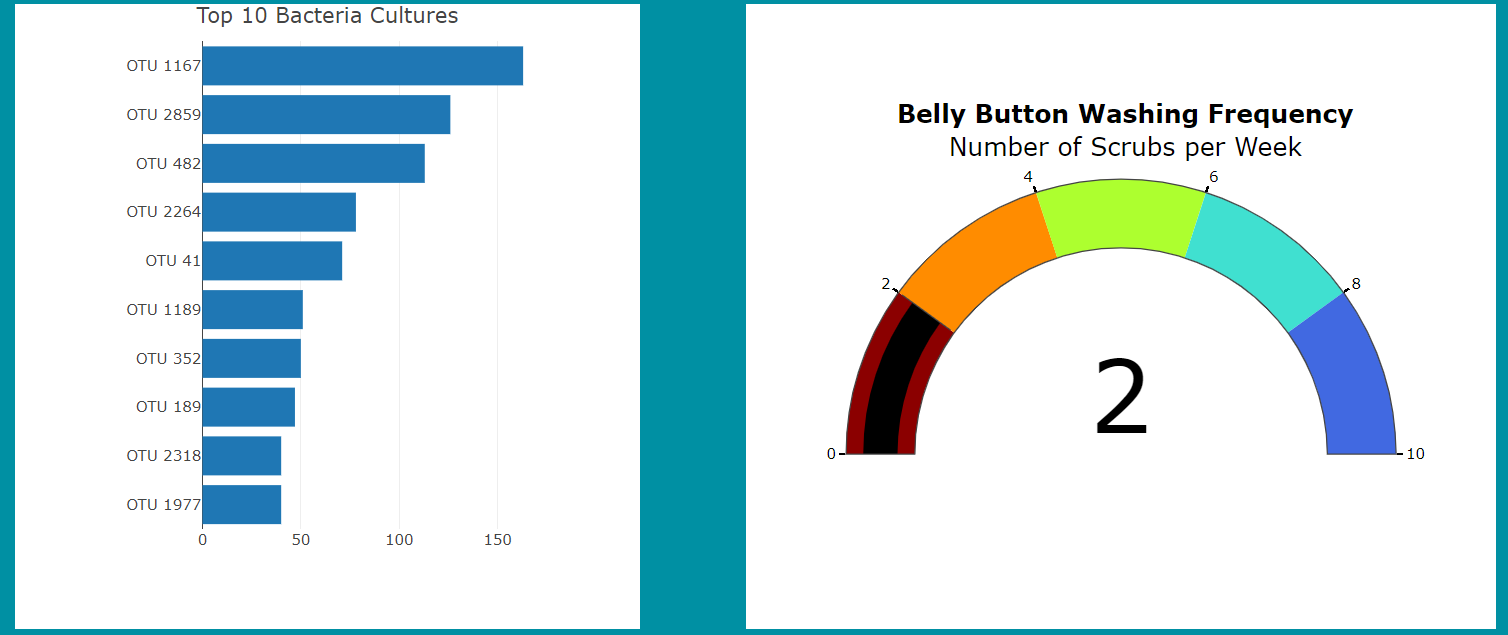 GitHub - liz-mcdaneld/plotly_deployment: Use JavaScript, D3.json(), Plotly to showcase belly ...