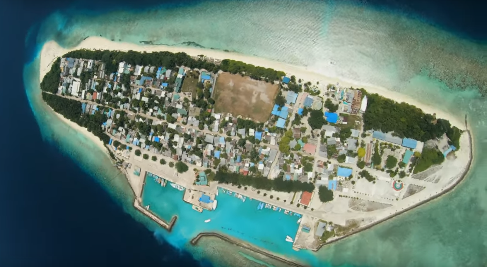 Coral reef rendering for WOW effect · Issue #156 · StrandedKitty/streets-gl · GitHub