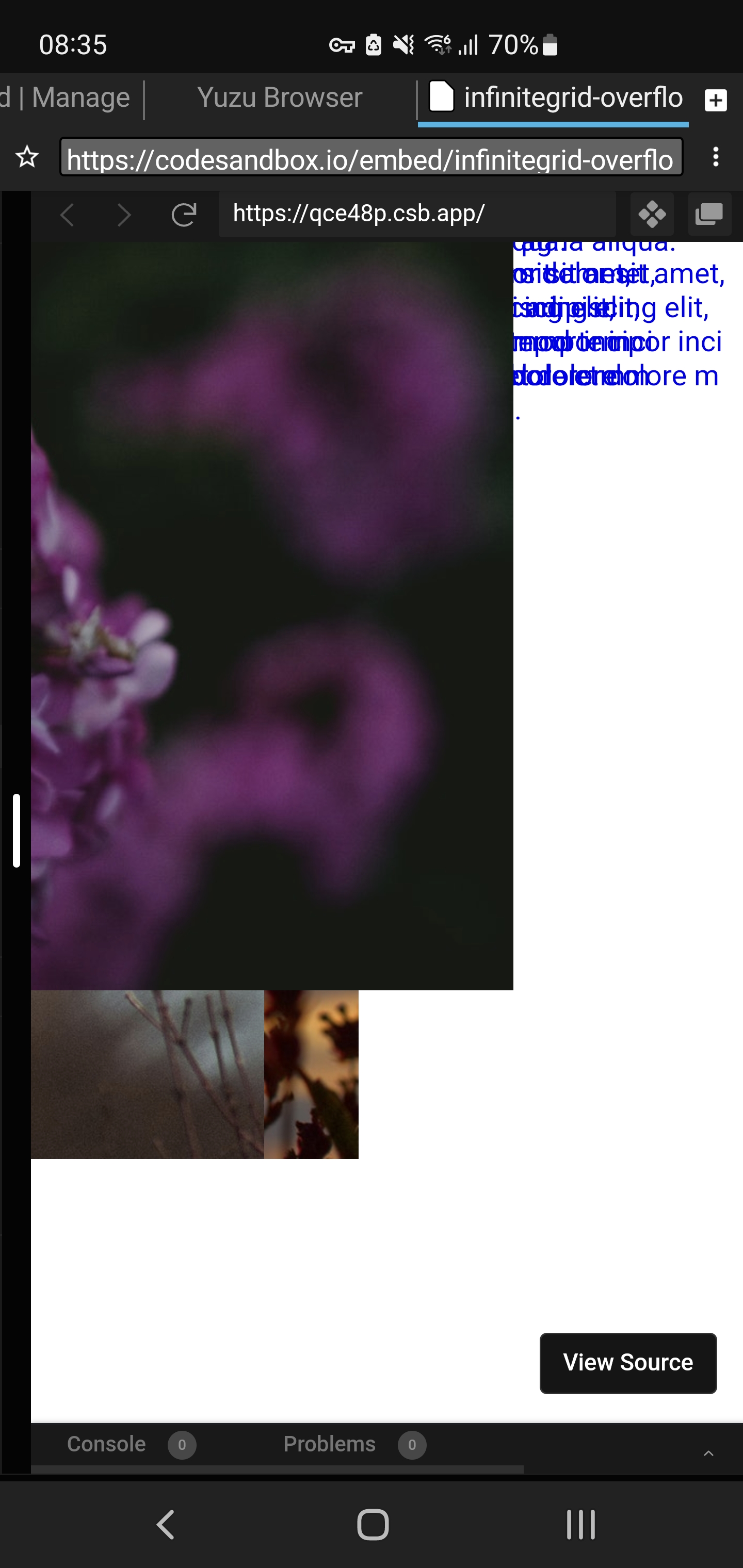 Svelte PackingInfiniteGrid - overflowing item content · Issue #524 · naver/egjs-infinitegrid ...