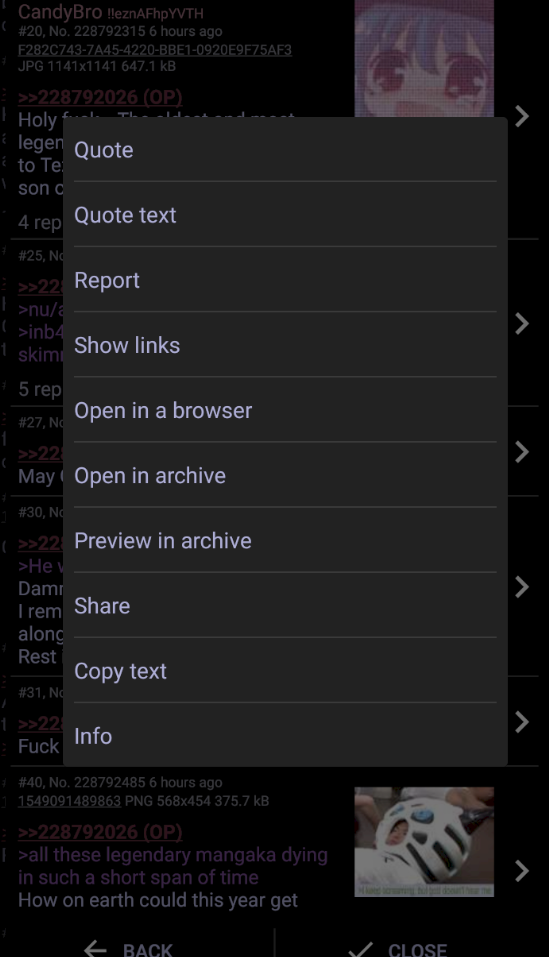 Can't Quote Reply When Viewing A Reply · Issue #565 · K1rakishou/Kuroba ...