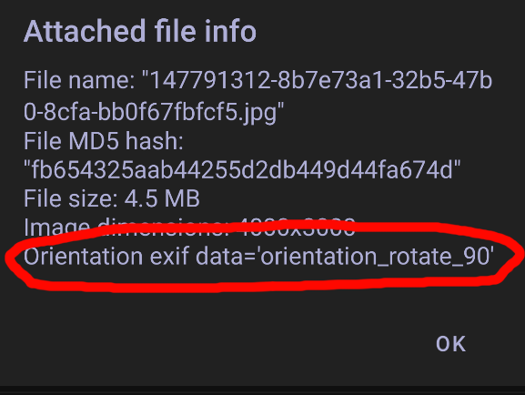 EpoxyReplyFileView doesn't handle EXIF orientation on attached images ...