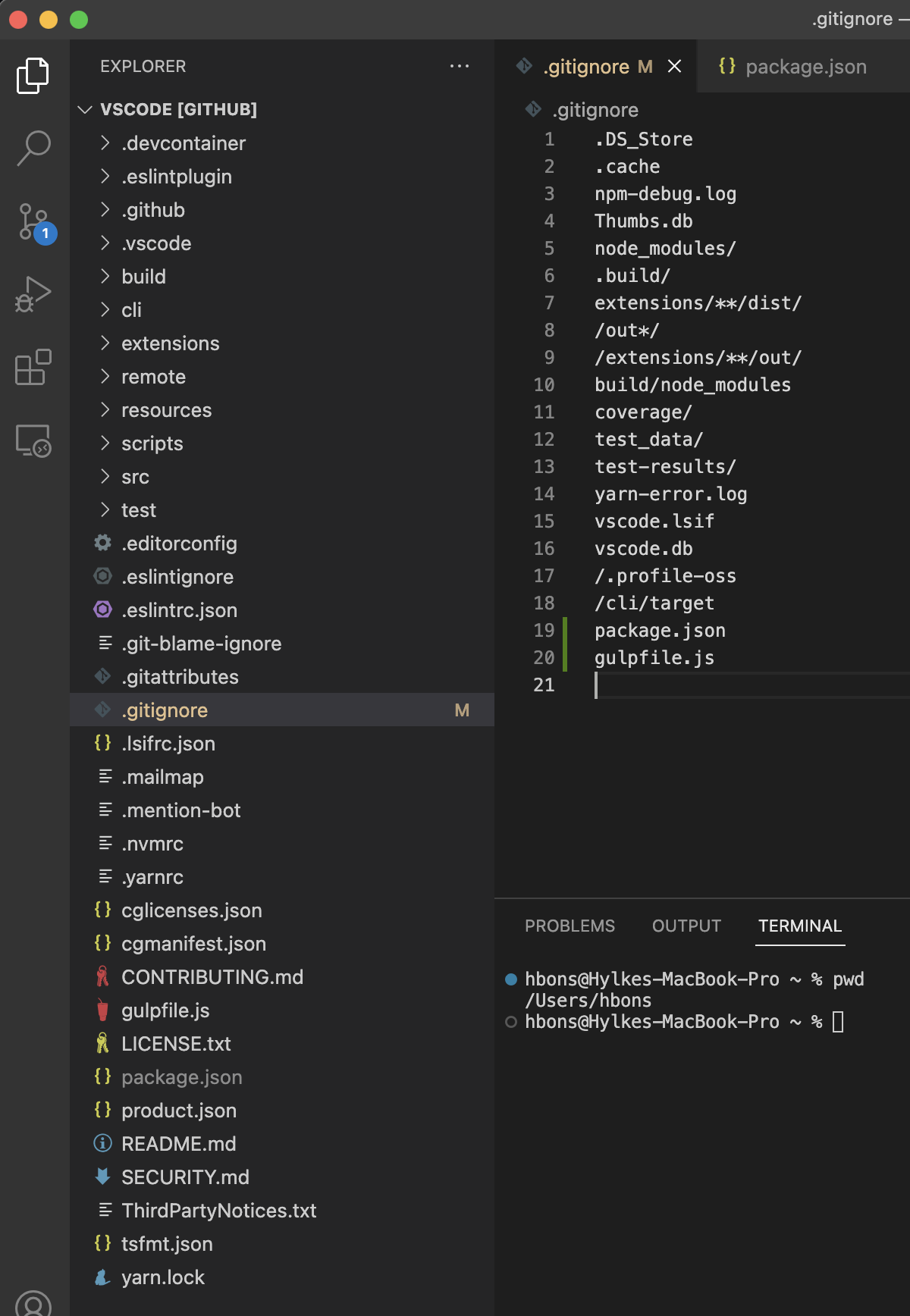 Test: gitignore in Remote Repositories · Issue #177534 · microsoft ...