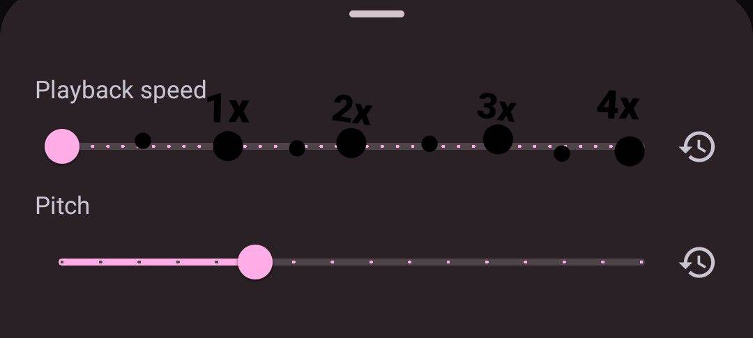 Markings (1x, 2x, 3x, 4x) on the Playback speed dialog box · Issue ...