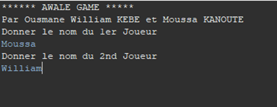 GitHub - iamwill221/Awale-Game