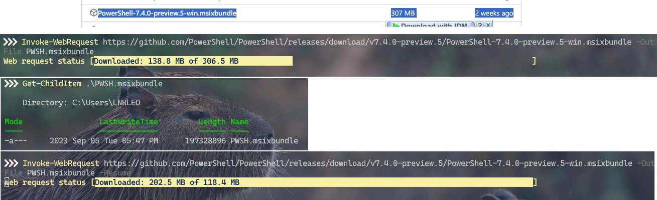 Fix Wrong File Size On Invoke Webrequest With Resume Switcher · Issue 20206 · Powershell