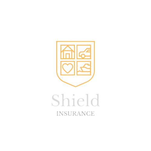 GitHub - Daniel-Salvatori/Shield_Insurance