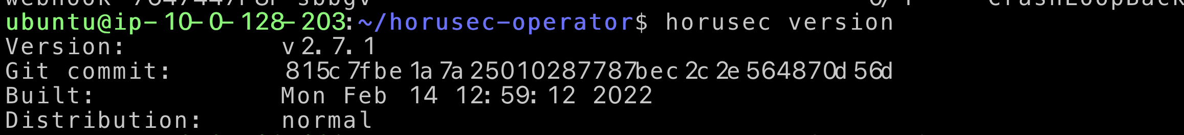 Unable to host horusec-platform on ec2. Tried all the three types of installation but it is not ...