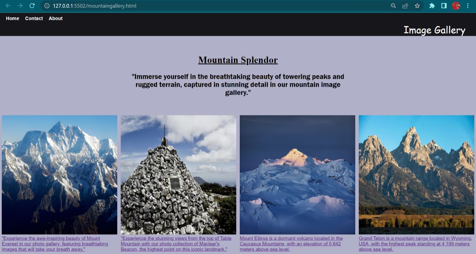 GitHub - ClassyJuhi/Image-Gallery: Introducing our image gallery app! Discover and enjoy a ...