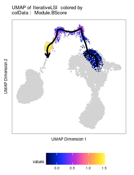 Custom List for Trajectory Heatmap · Issue #412 · GreenleafLab/ArchR ...