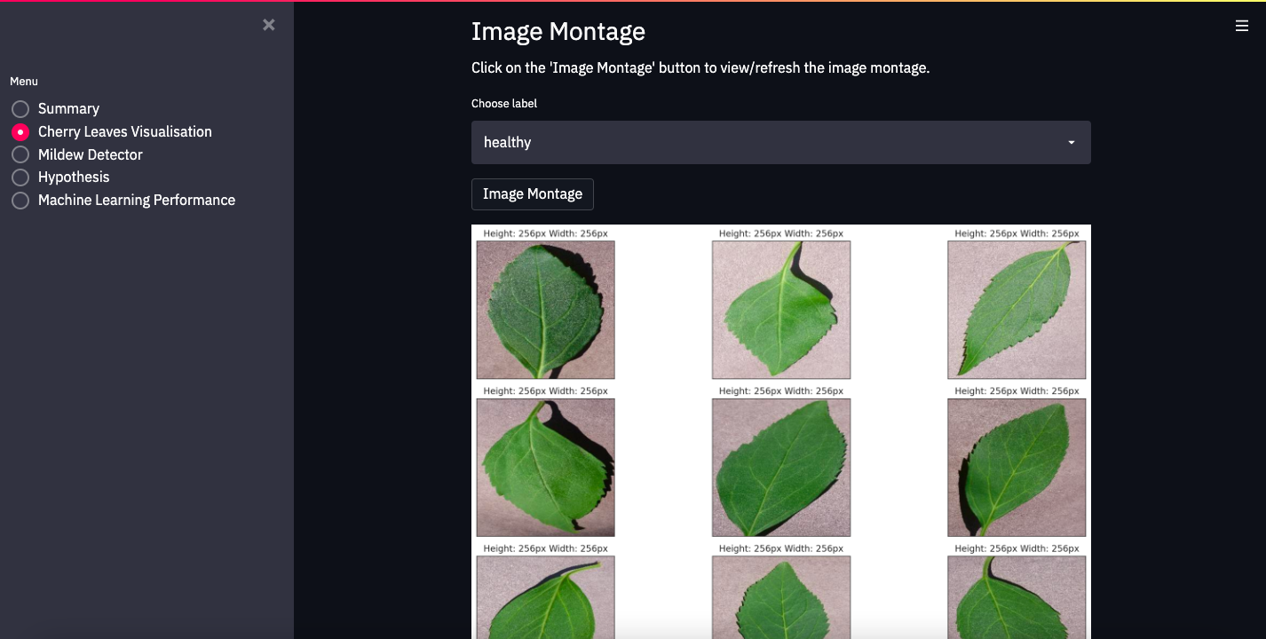 GitHub - Hasmelash95/cherry-leaves-mildew-detection: A project to use machine learning to detect ...