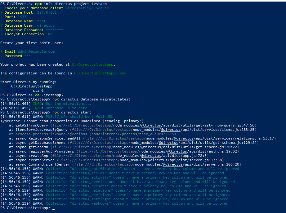 MSSQL: TypeError: Cannot read properties of undefined (reading 'primary ...