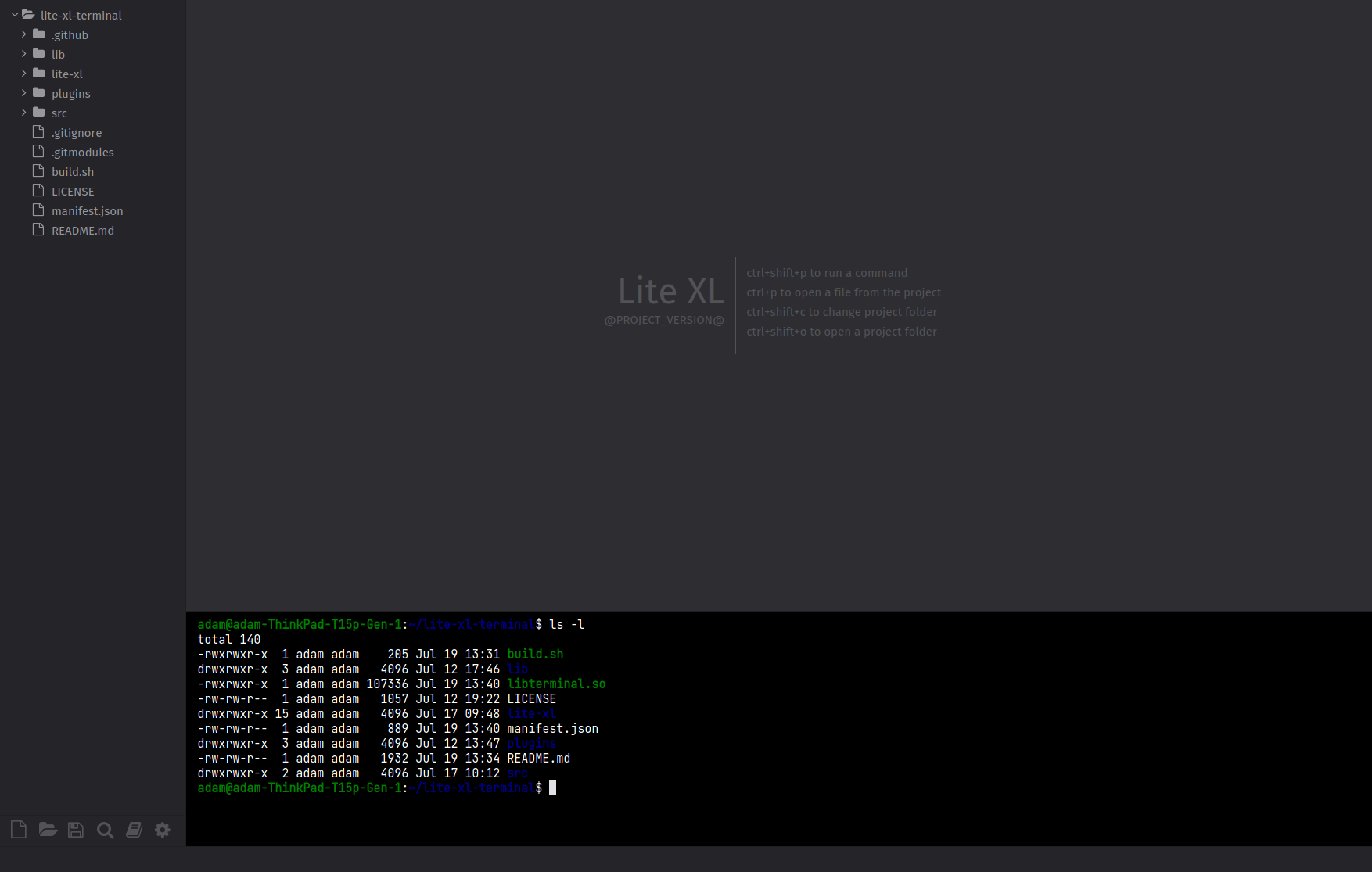 GitHub - pragtical/terminal: Terminal emulator for pragtical code editor.