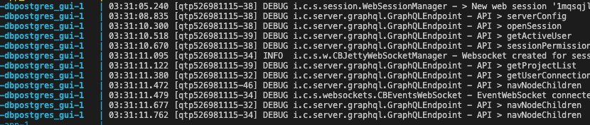 How to turn off/minimal console logging · Issue #1469 · dbeaver/cloudbeaver · GitHub
