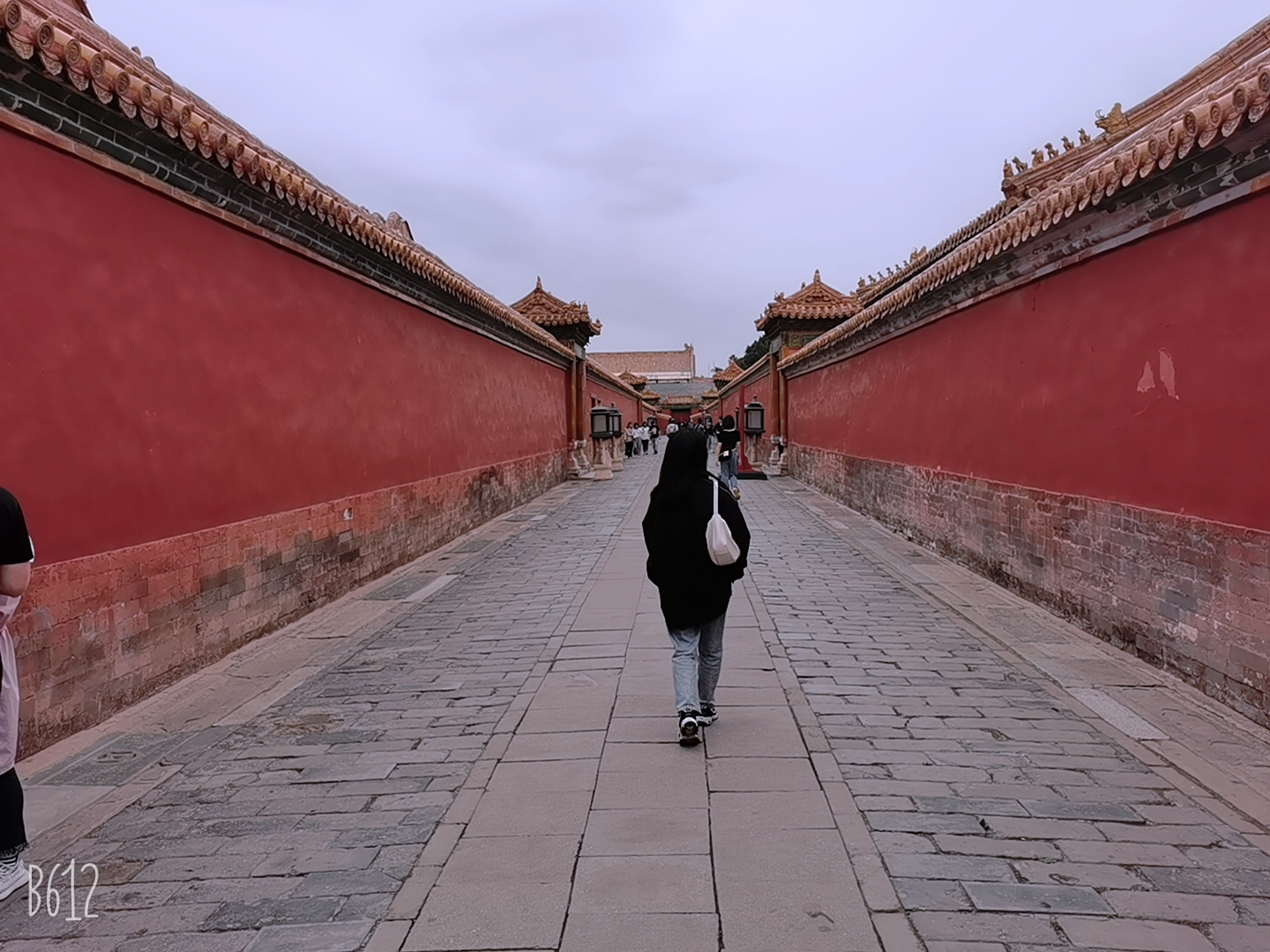 gtb-2022-yang-shuting · GitHub