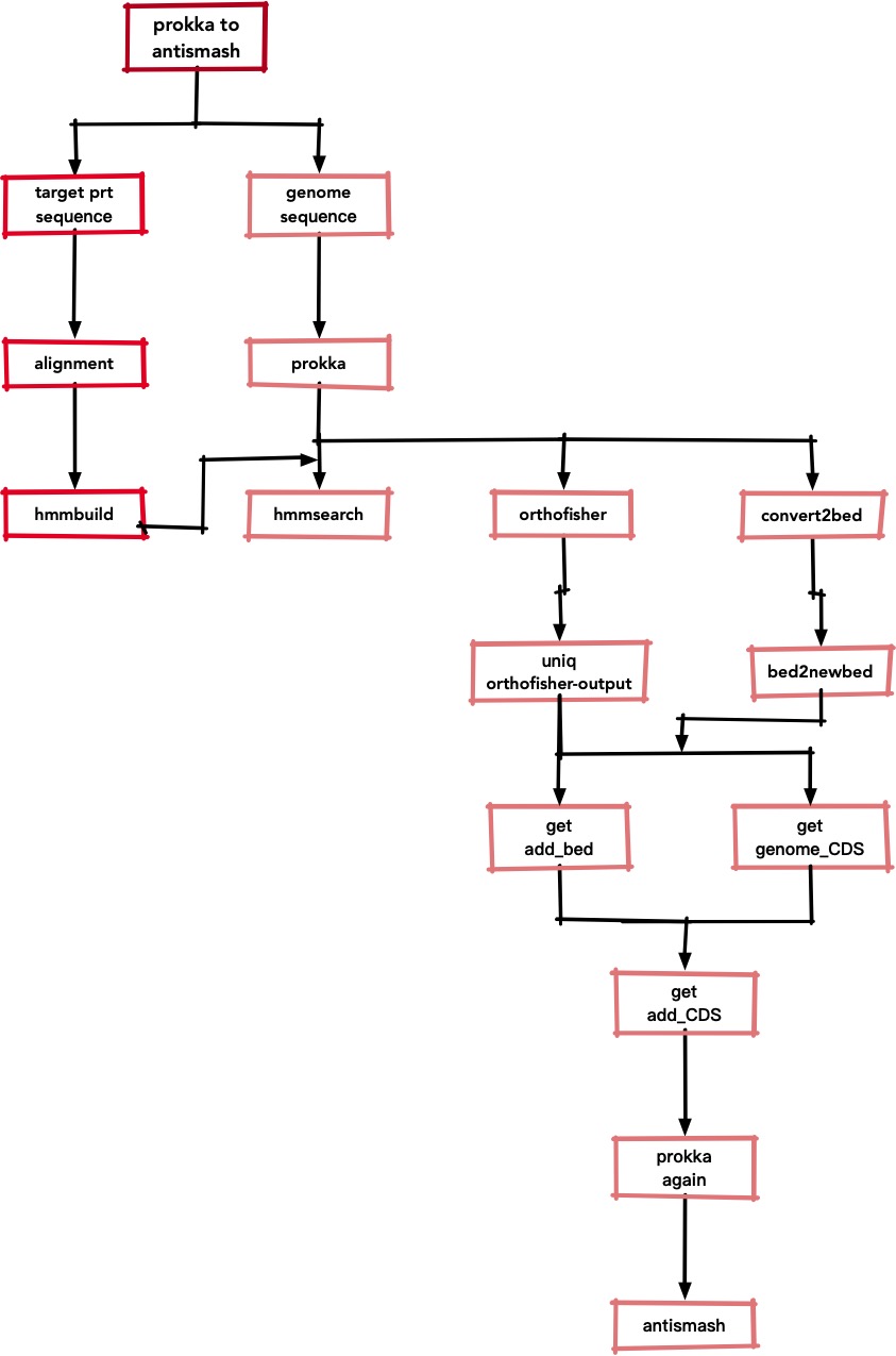 Github Vnuiiscript Prokka2antismash This Script Is Used To Analyze Whether The Target Coding